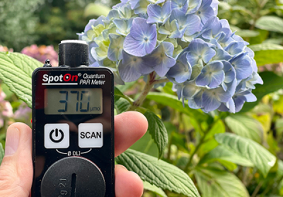 Lumens vs PAR in grow lighting – Forever Green Indoors